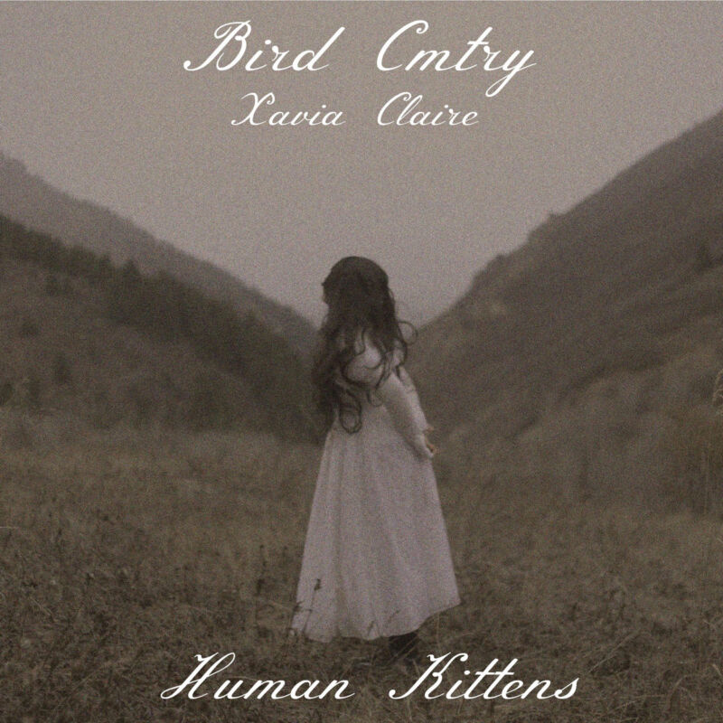 Human Kittens - Andrew Jackson Jihad Testo della canzone