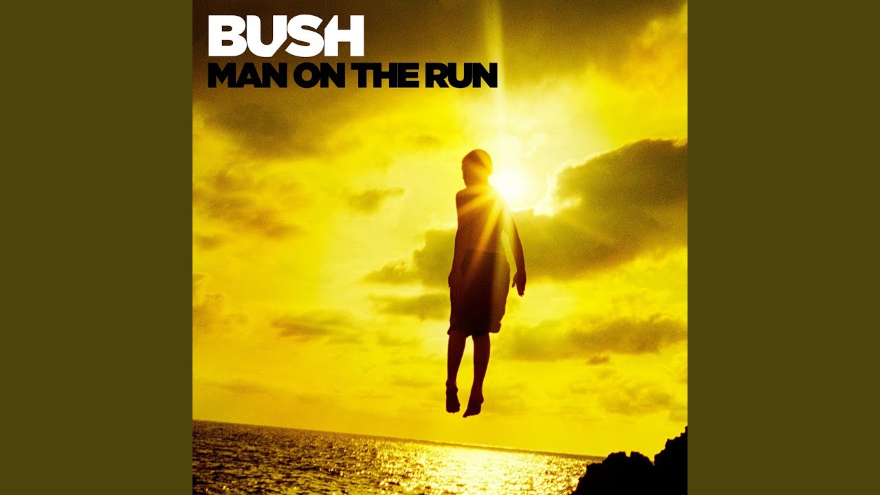The Gift - Bush Testo della canzone