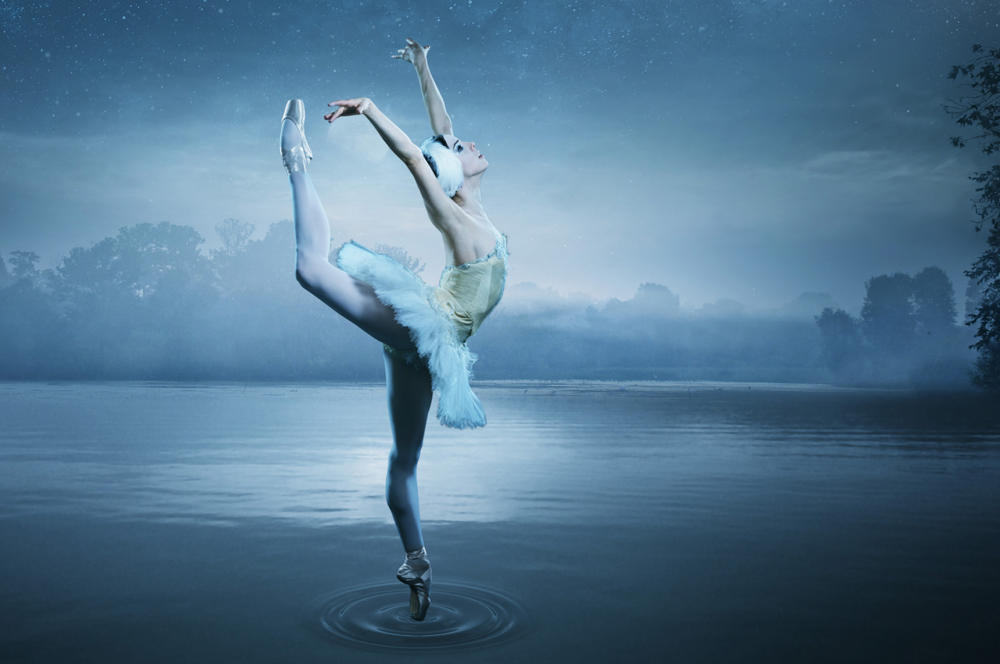 Swan Lake - "autore" Testo della canzone