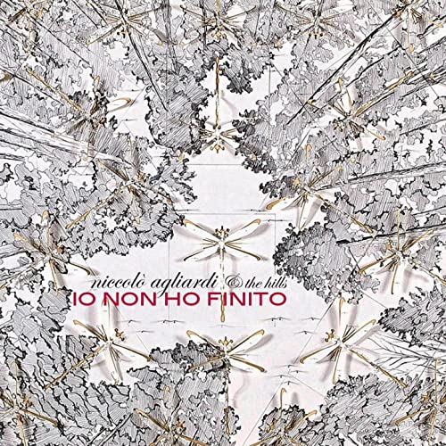 Io non ho finito - Niccolò Agliardi Testo della canzone