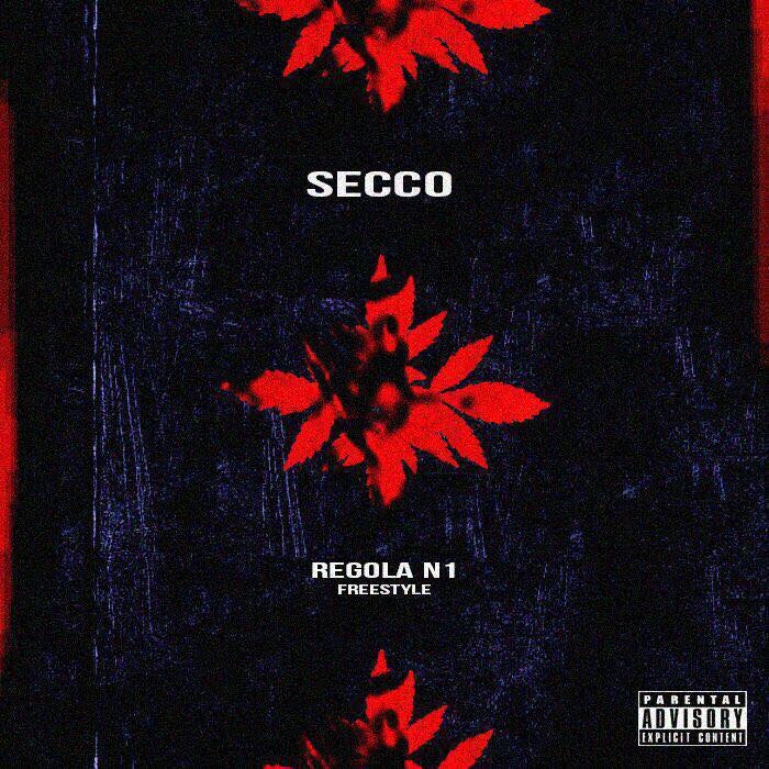 Regola N1 - Secco Testo della canzone